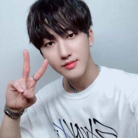 Stray Kids Profile 2022: K-Pop Stray Kids Profile, Members, Facts, Songs...
